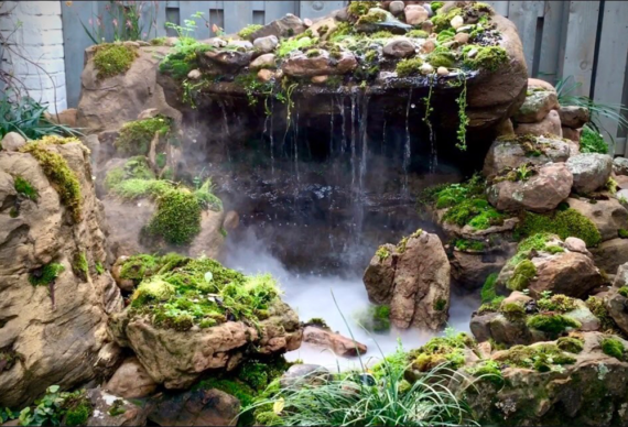 Paludarium Ideas Overview – Where to Start? - Atlantis Aquatics | Next ...